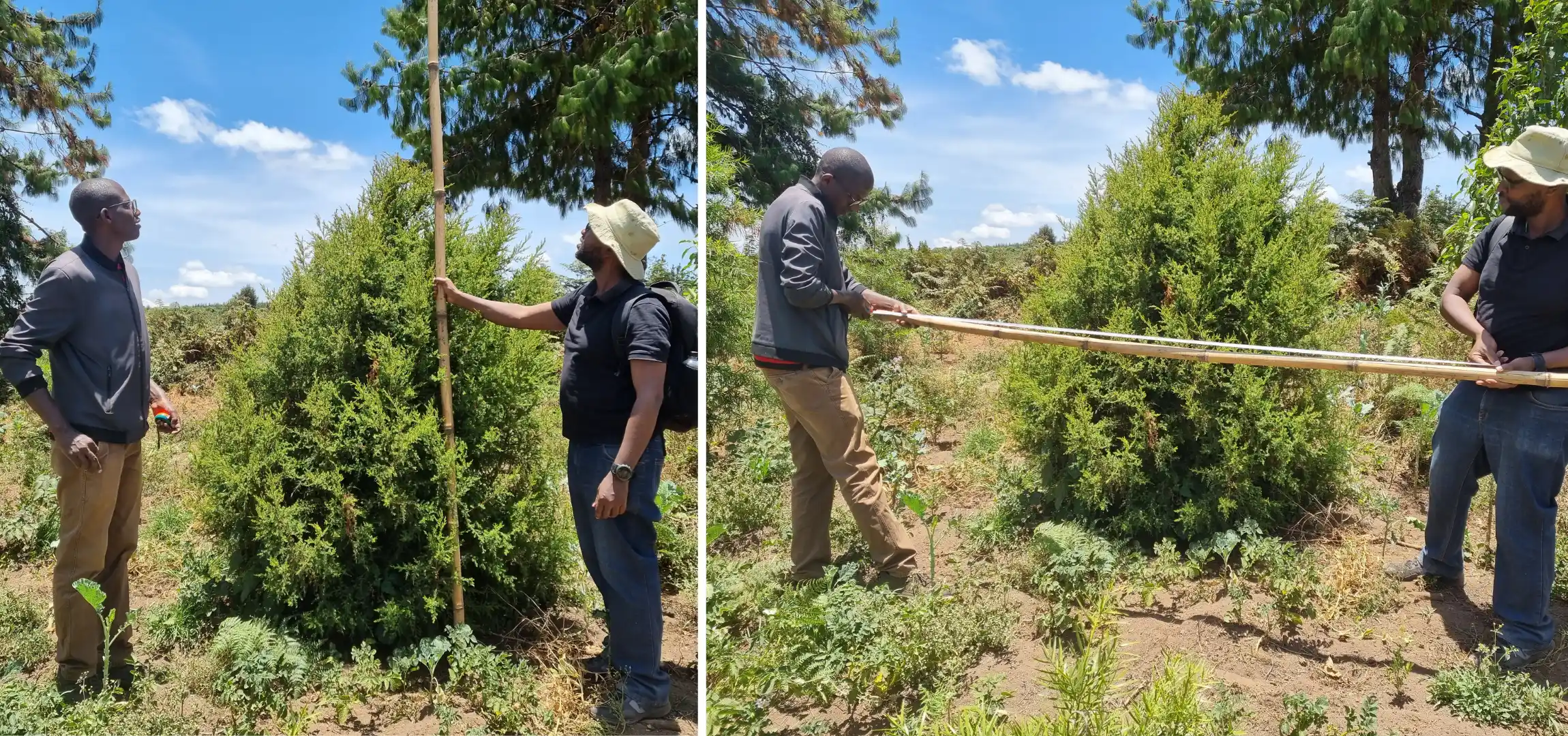 DSAIL - Center for Data Science and Artificial Intelligence